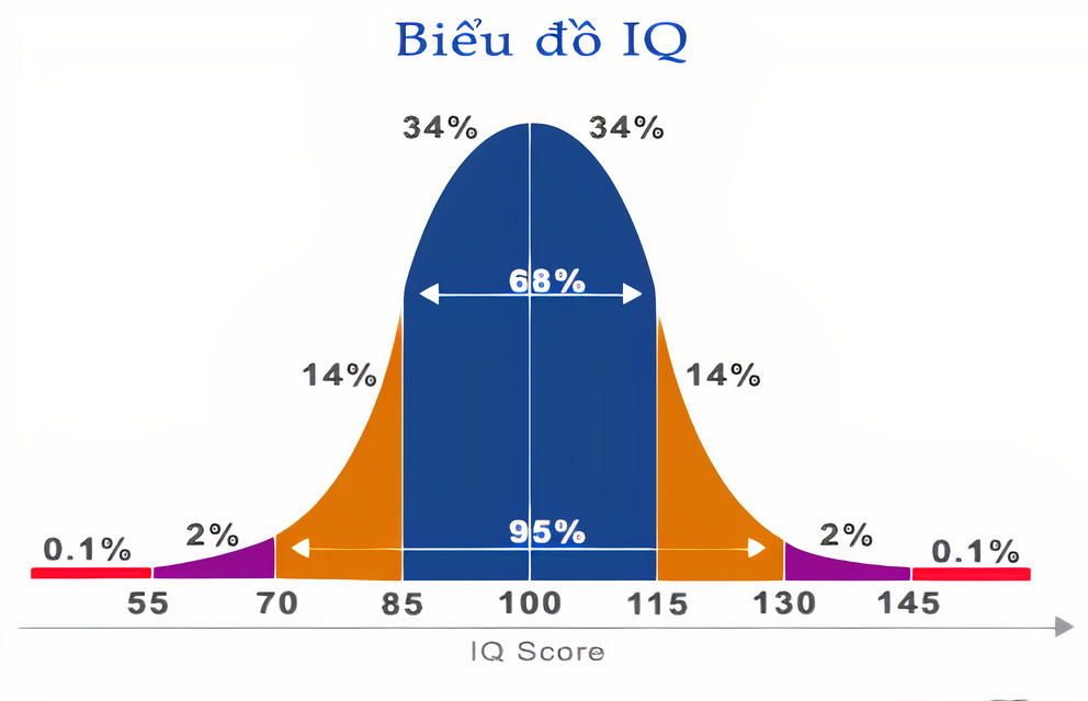 IQ Là Gì? Kiểm Tra, Test IQ Free - Bài Online Miễn Phí 100%